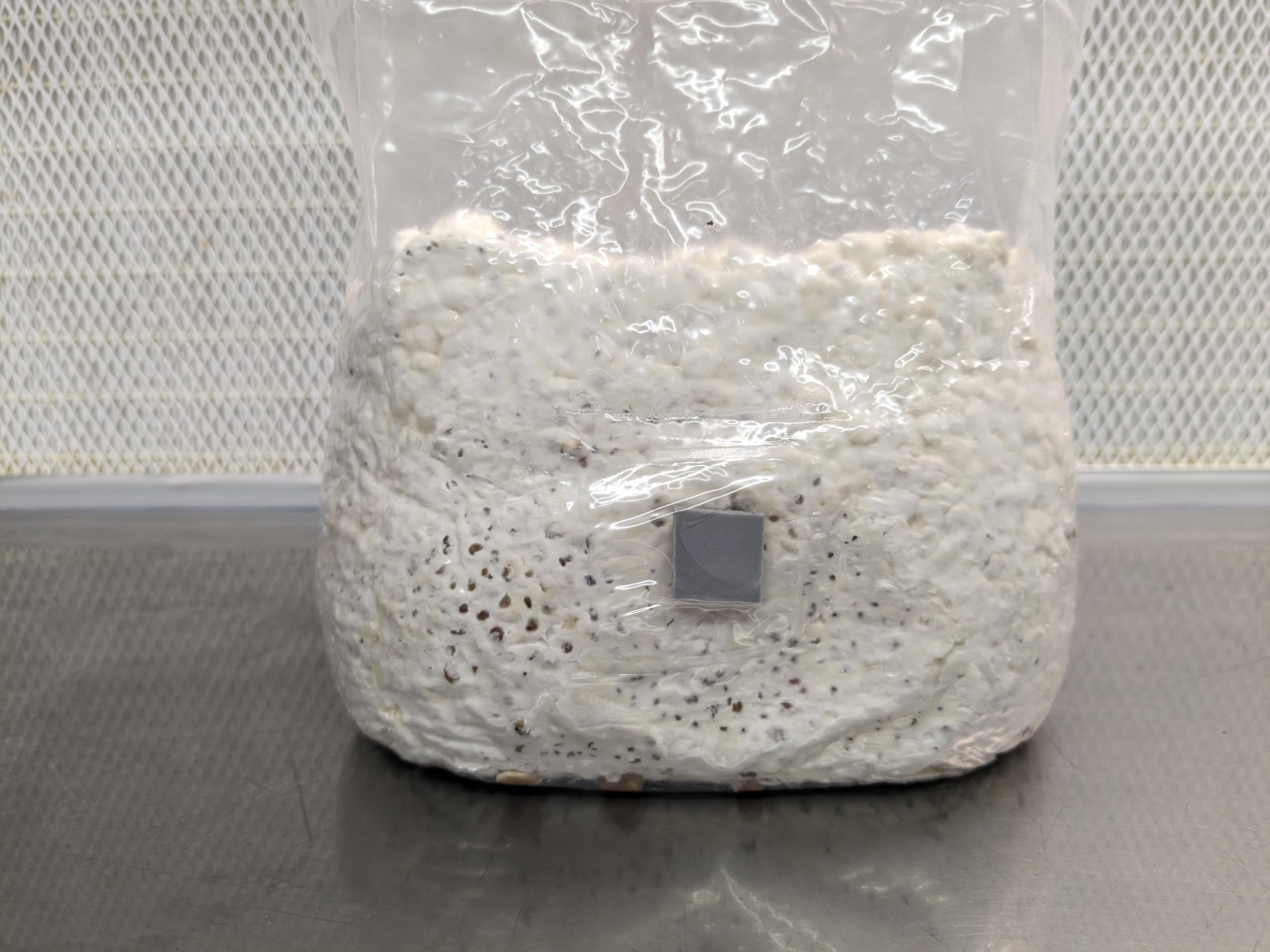 great for home mushroom growers