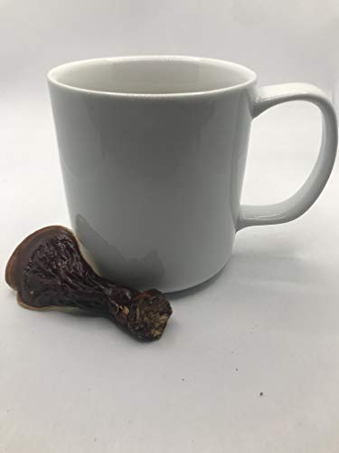 great lakes mushrooms for wellness