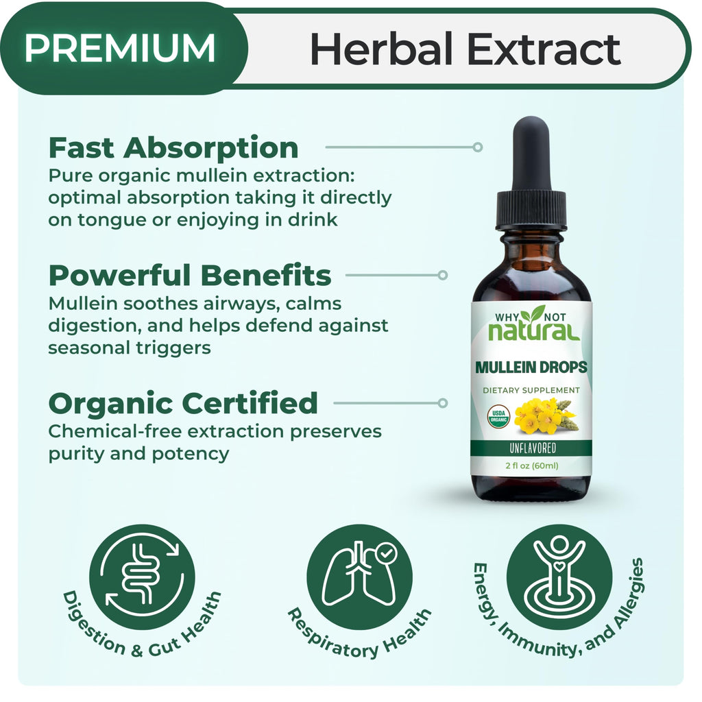 great mullein benefits for wellness
