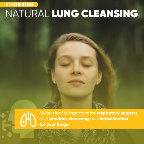 great mullein benefits for wellness