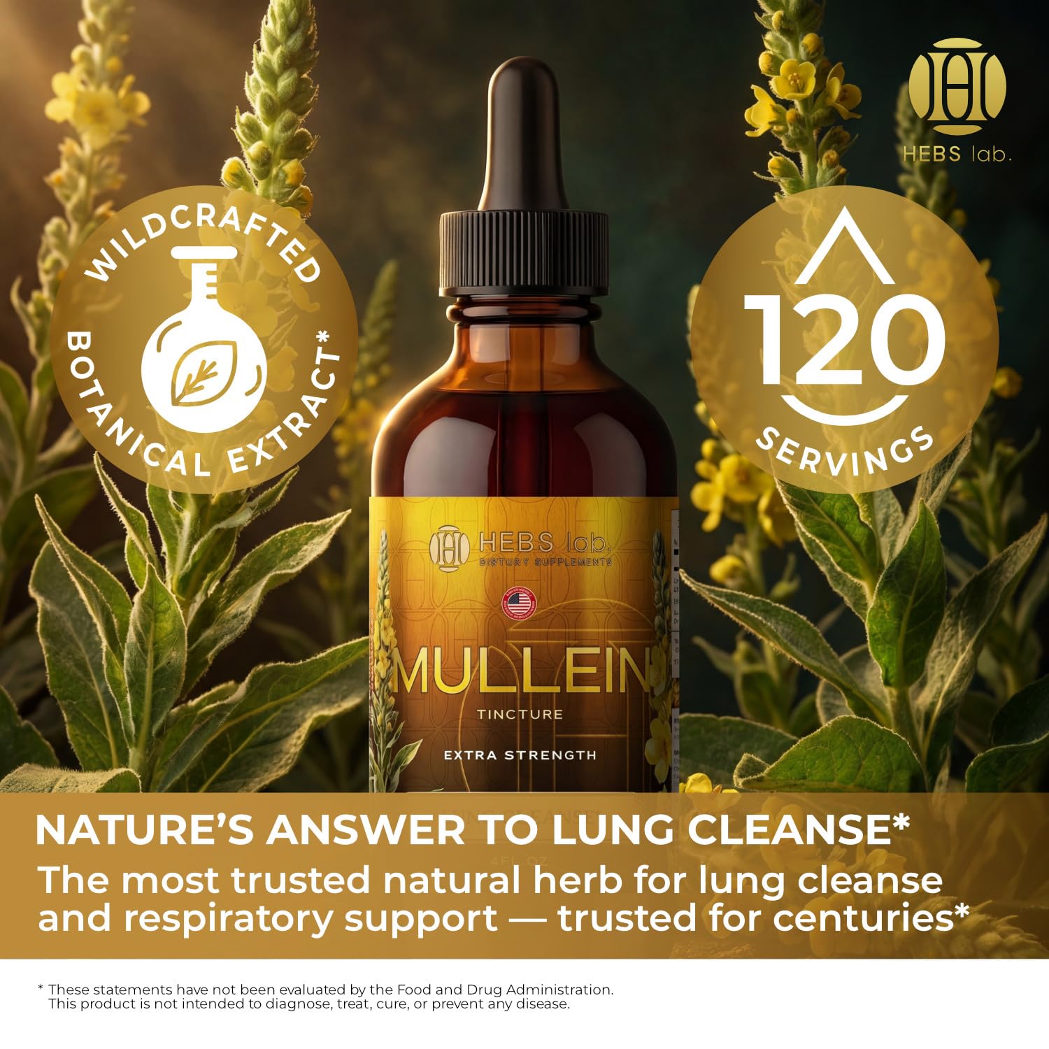 great mullein extract for respiratory relief