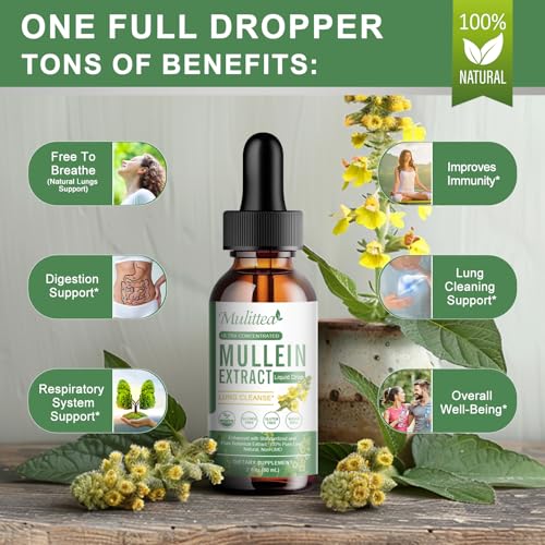 great mullein for holistic healing