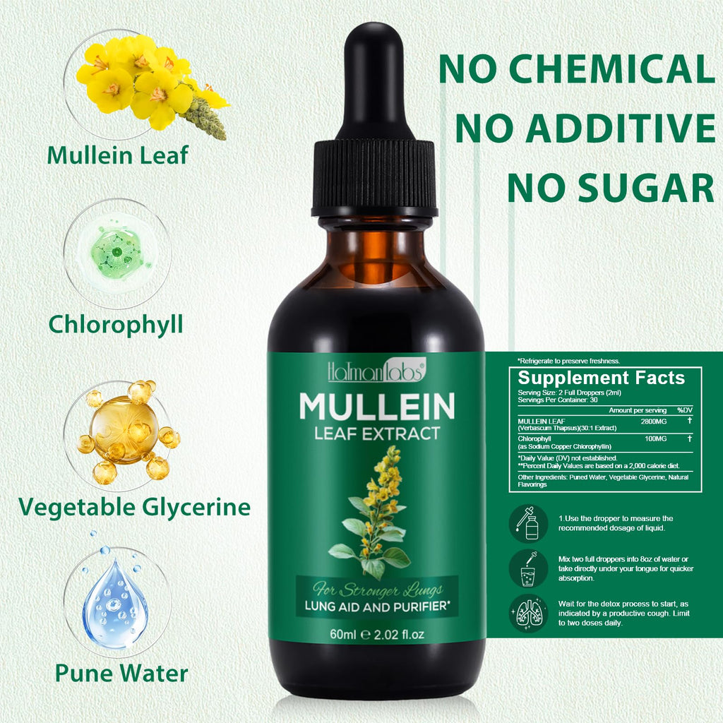 great mullein for respiratory function