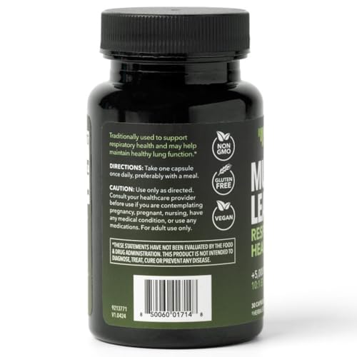 great mullein for respiratory health benefits