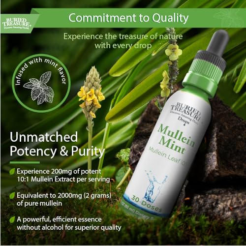 great mullein for respiratory health