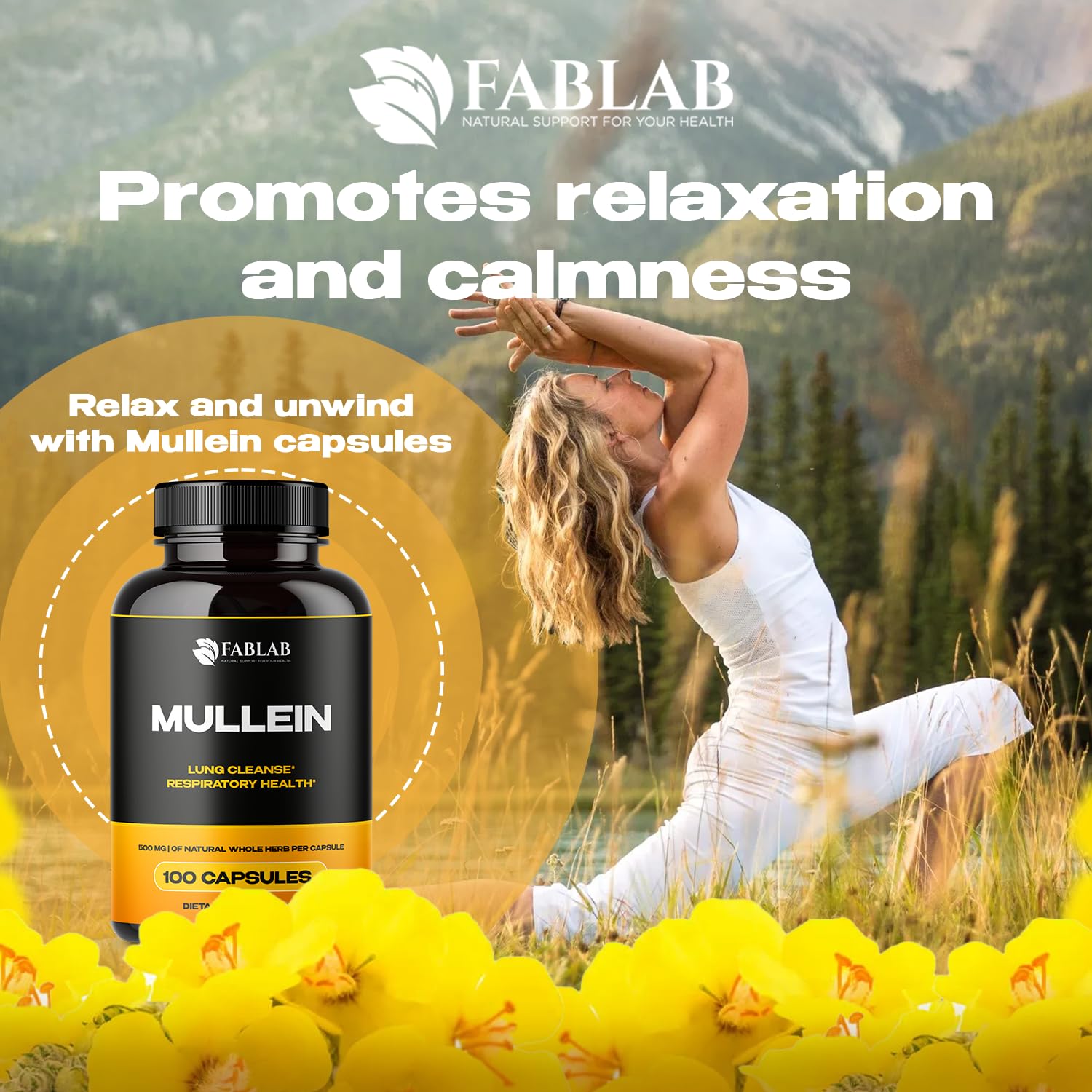 great mullein for respiratory relief