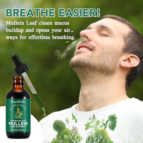great mullein for respiratory relief