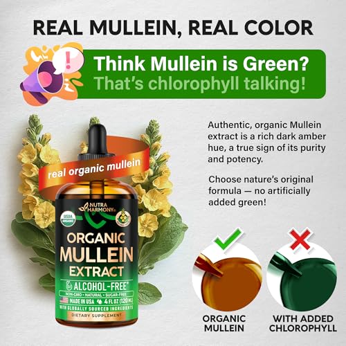 great mullein for respiratory relief