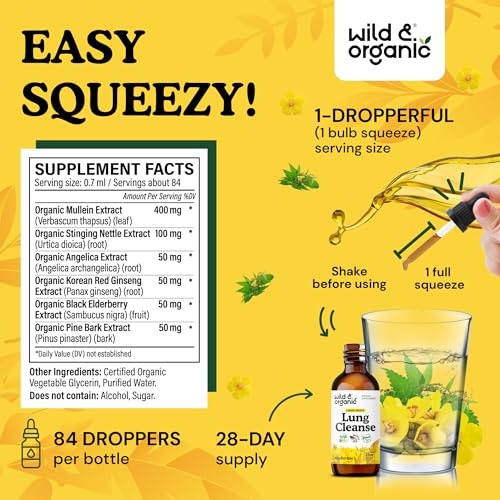 great mullein for respiratory support