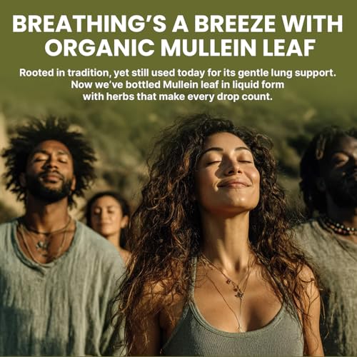 great mullein for respiratory support