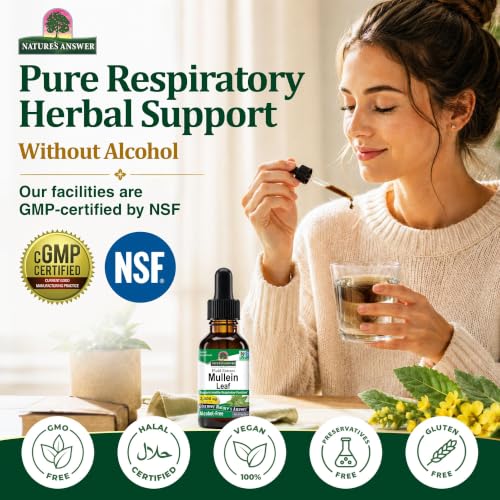 great mullein for respiratory support
