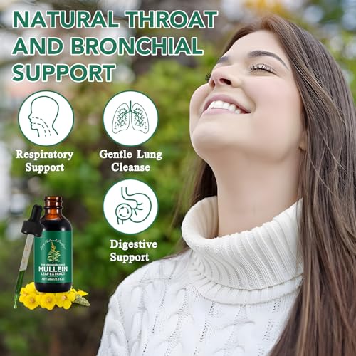 great mullein for respiratory wellness