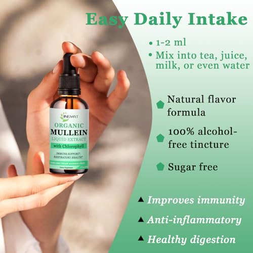 great mullein for smokers' relief
