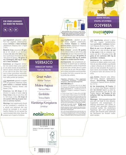 great mullein liquid extract benefits