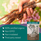 greater burdock root for wellness