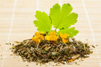 Greater Celandine Herb for skin care