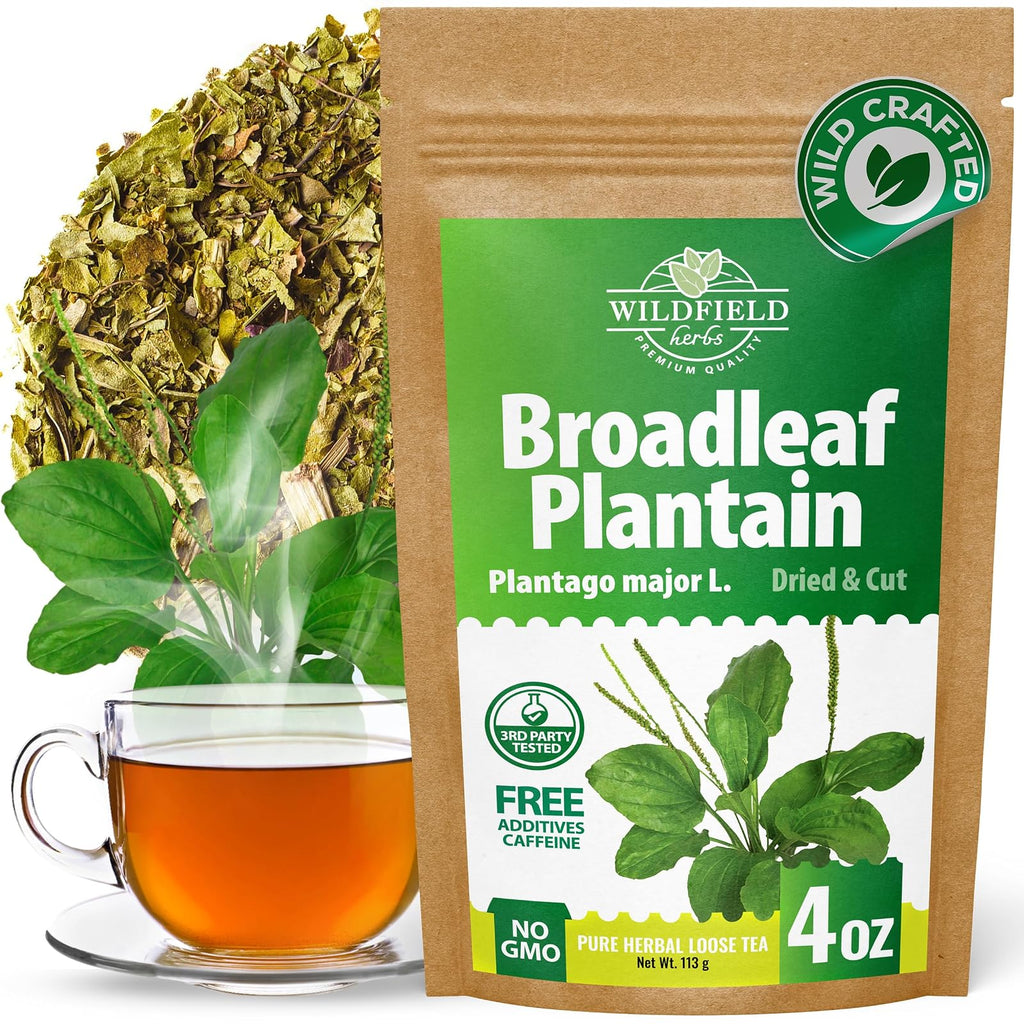 Greater Plantain Leaf herbal tea