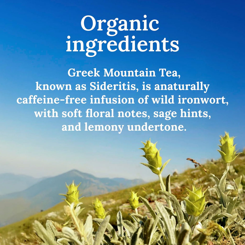 Greek mountain tea benefits