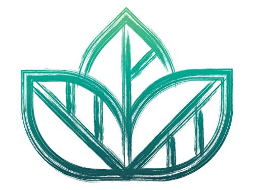 green blend with spirulina and maca