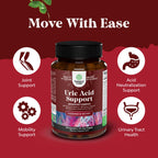 Green coffee bean extract benefits