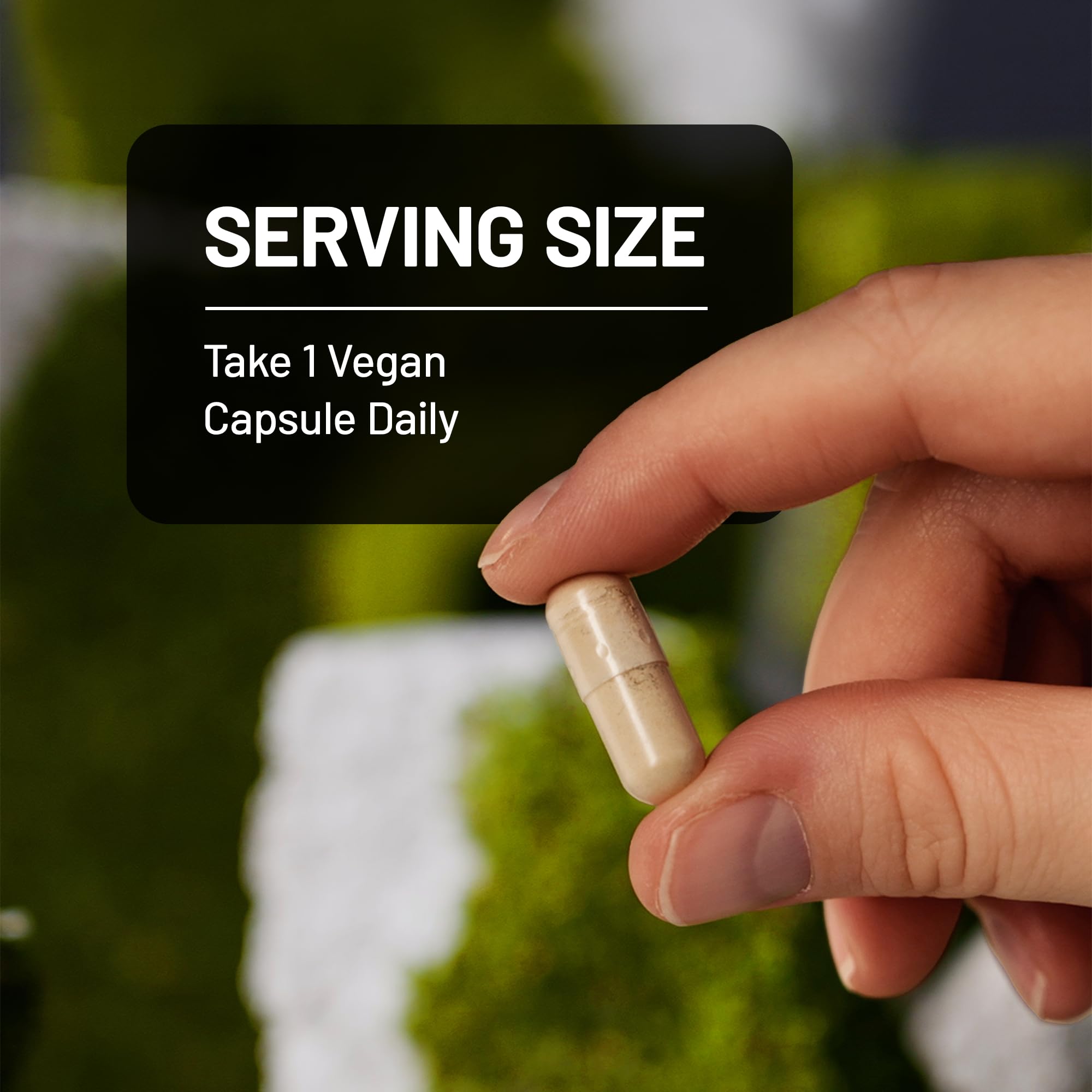 green coffee bean extract for balanced energy