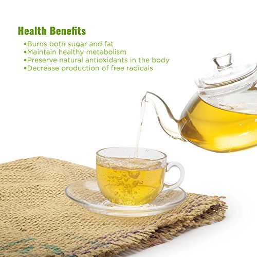 green coffee bean extract for daily vitality