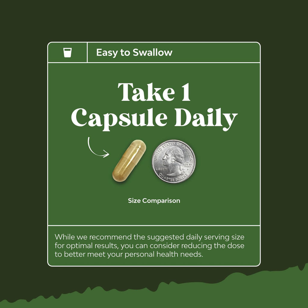 green coffee bean extract for daily wellness