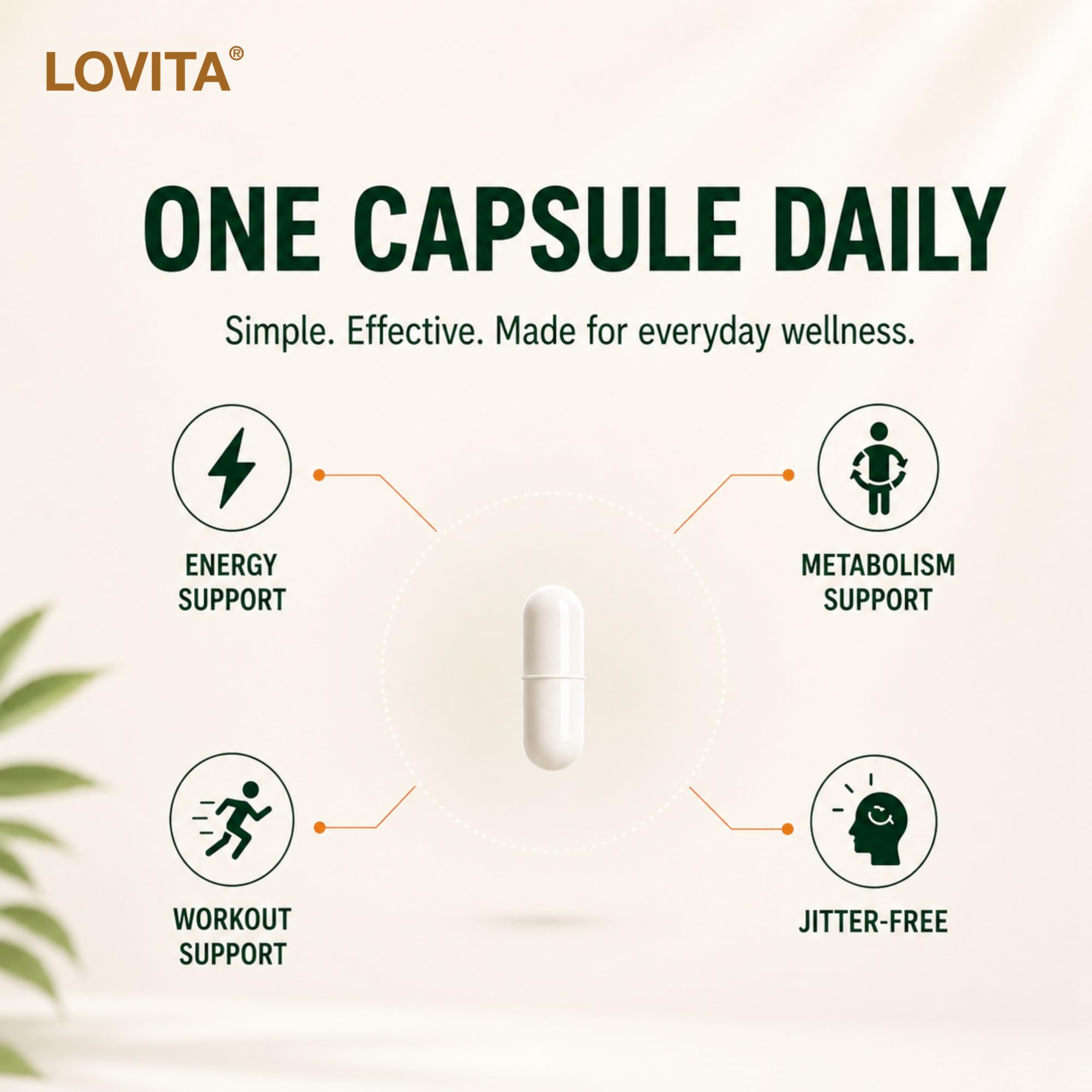 green coffee extract for daily wellness