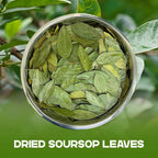 Green Life Org soursop tea