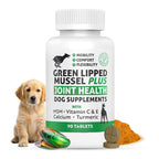 Green Lipped Mussel joint support