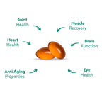 green lipped mussel oil benefits