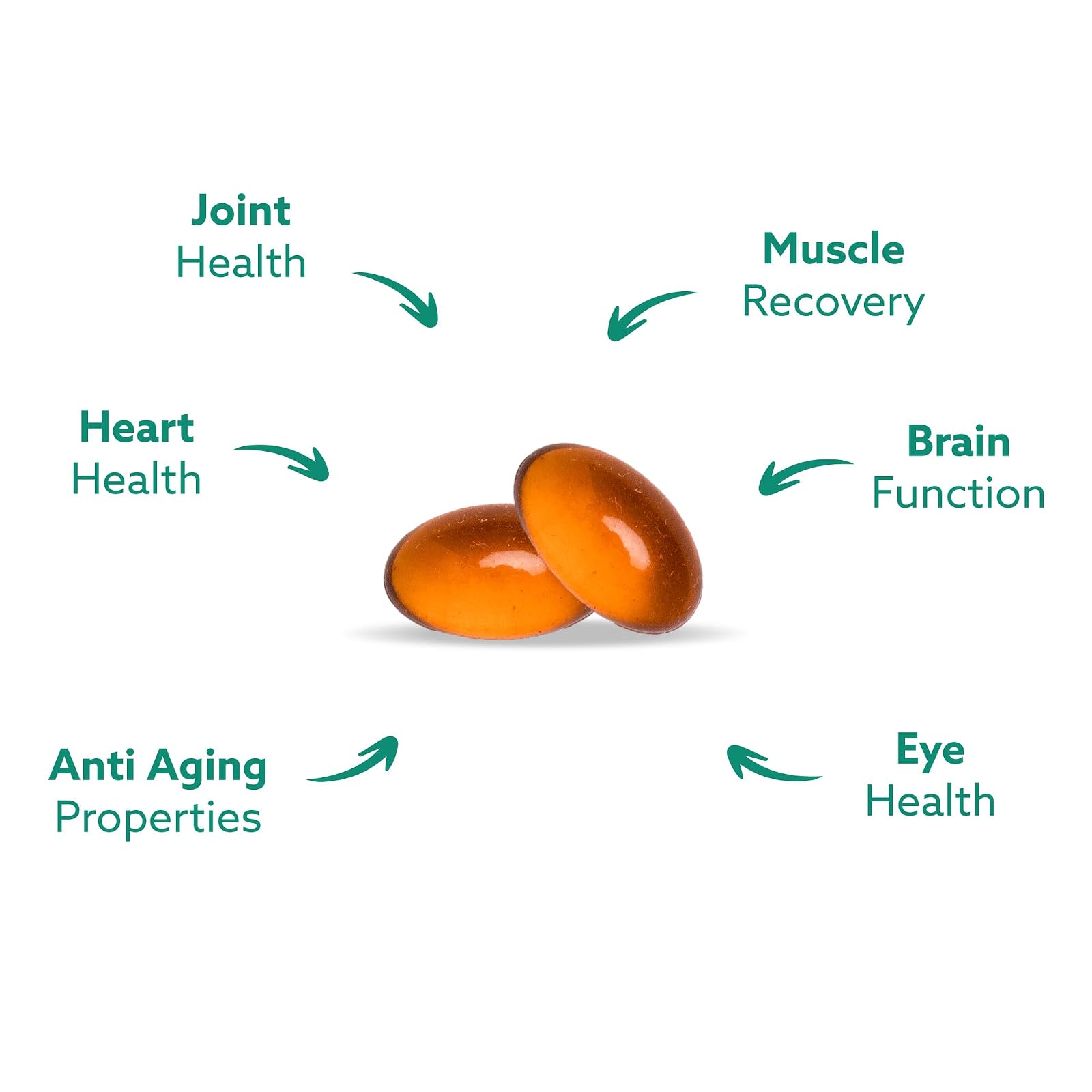 green lipped mussel oil benefits