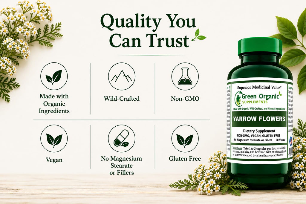 green organic yarrow flower supplements