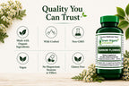 green organic yarrow flower supplements