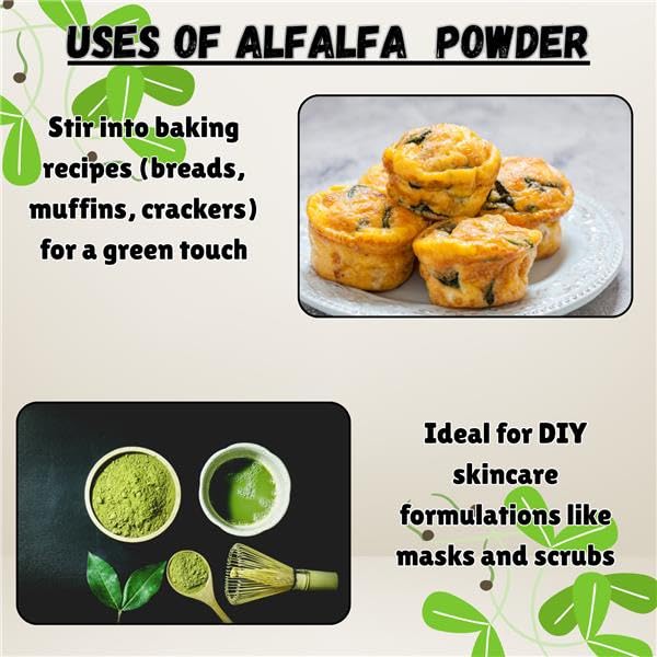 Green superfood alfalfa powder nutrition