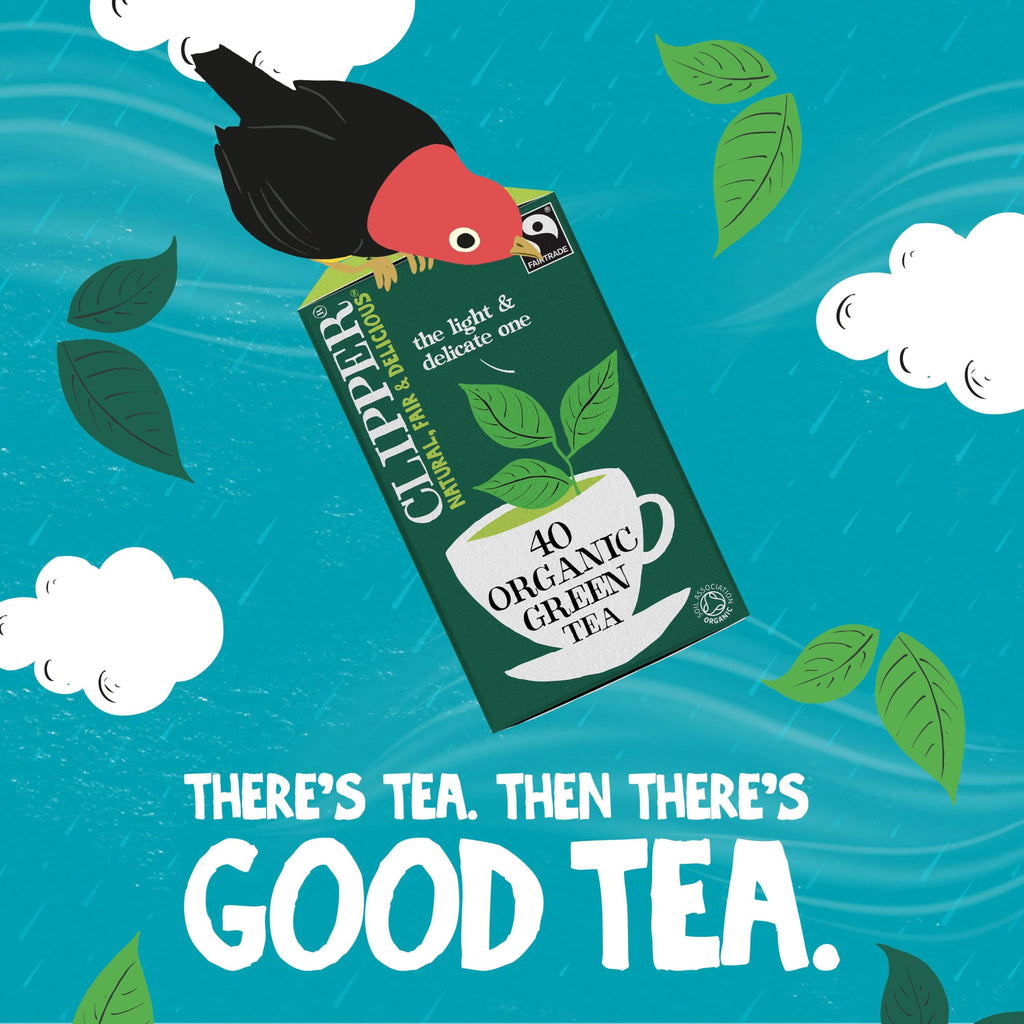 green tea caffeine content explained
