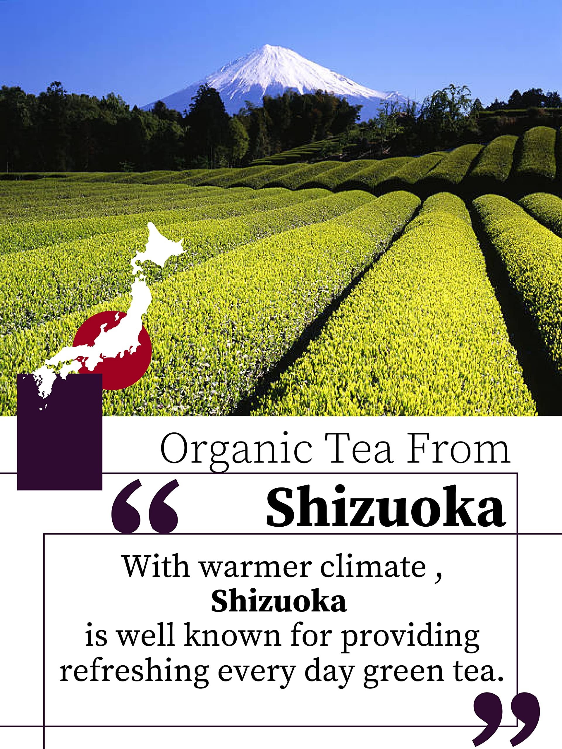 green tea caffeine content explained