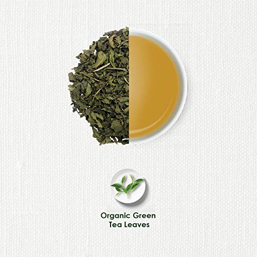 green tea caffeine content explained