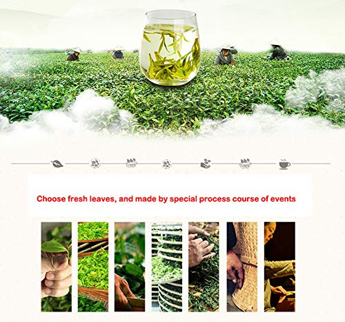 green tea caffeine content