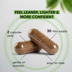 green tea capsules for diet