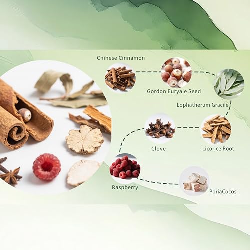 green tea extract for antioxidants