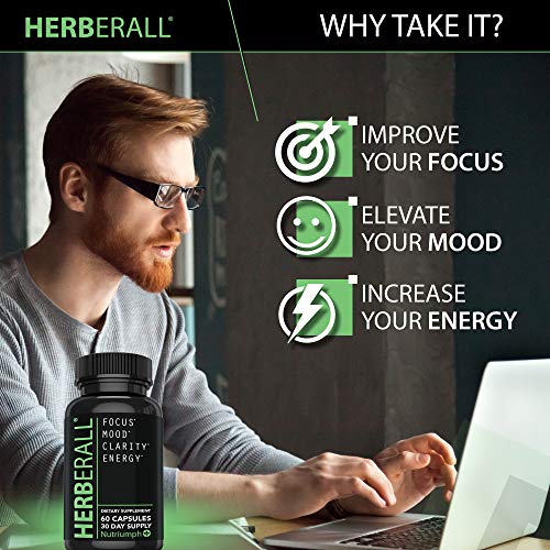 green tea extract for concentration