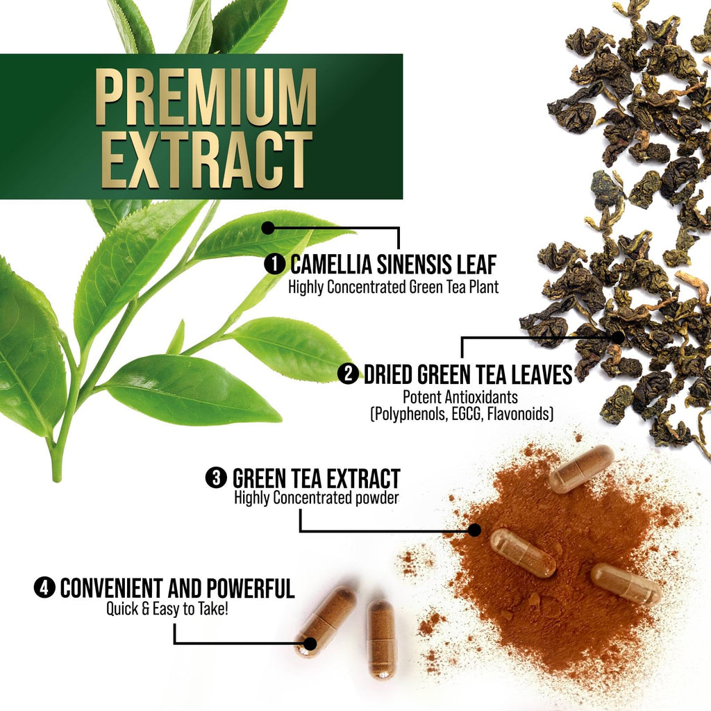 green tea extract for daily wellness