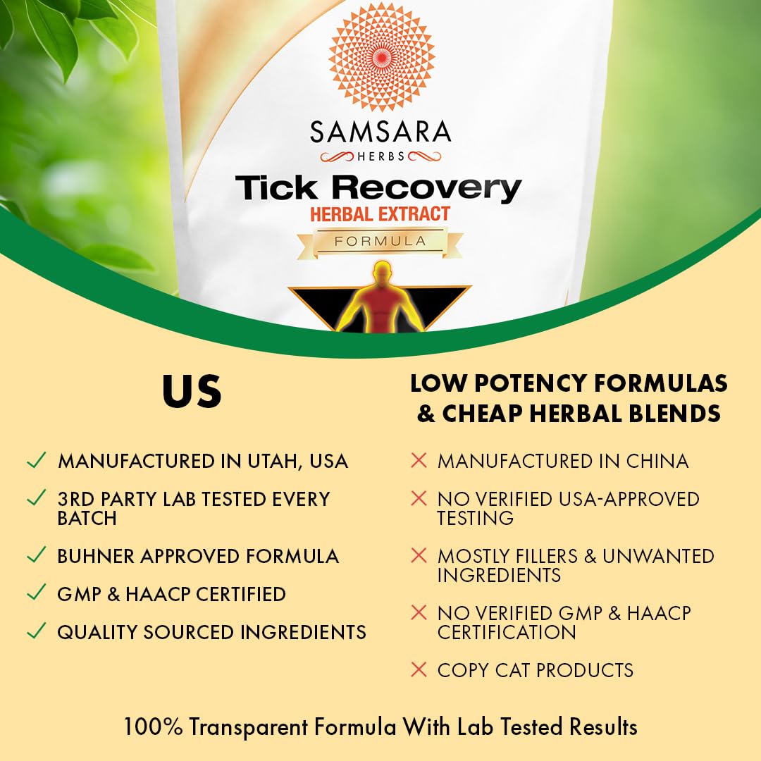 green tea extract for detox support