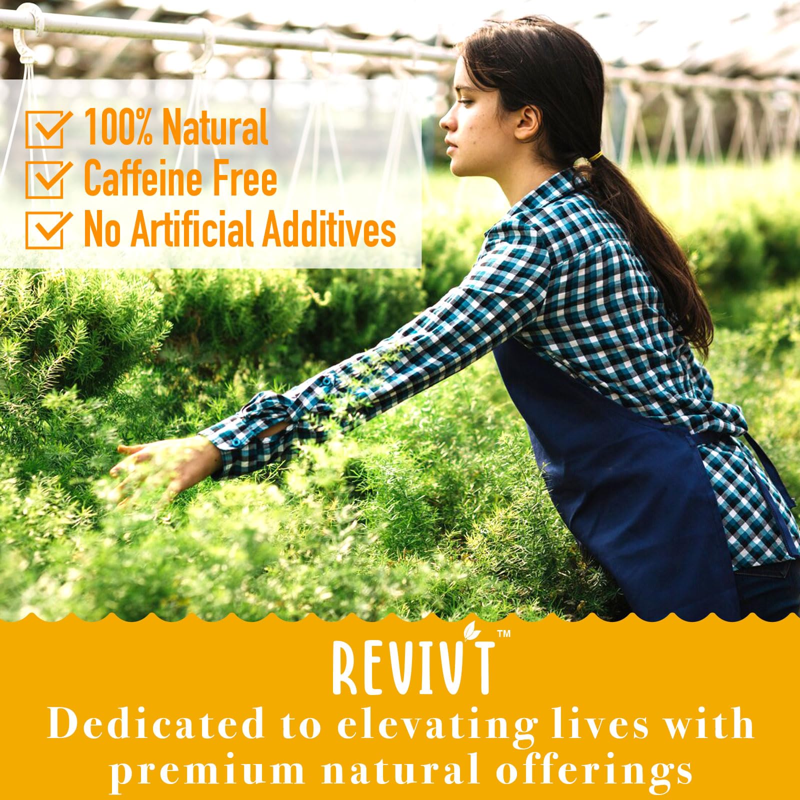 green tea extract for detoxifying support