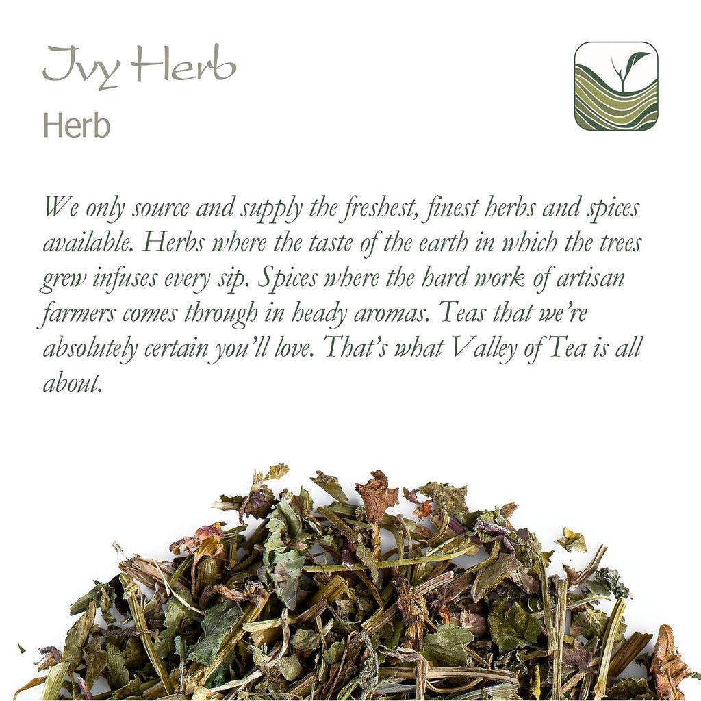 green tea extract for energy boost