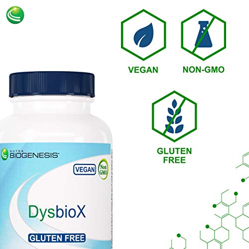 green tea extract for energy boost