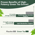Green tea extract for energy