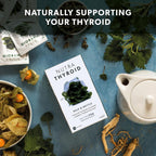 green tea extract for energy