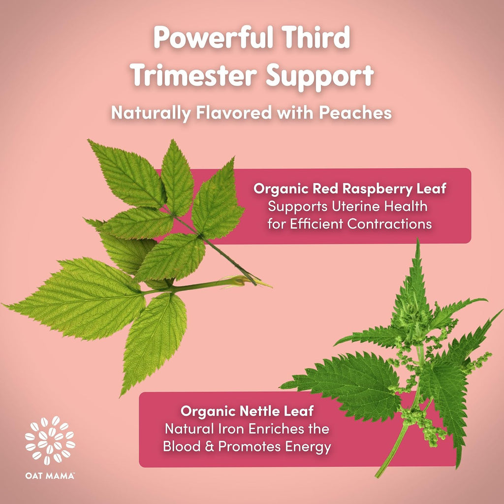 green tea extract for energy